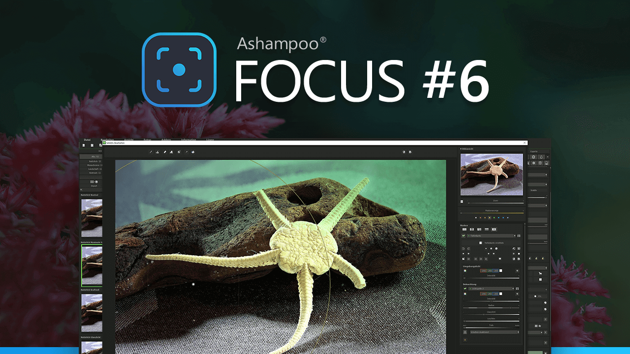 Ashampoo® FOCUS #6 - Overview - Ashampoo®