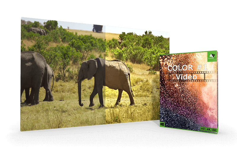 COLOR Video #1 - Overview - Ashampoo®