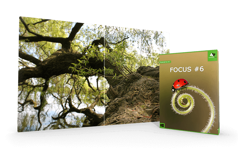 FOCUS #6 - Overview - Ashampoo®