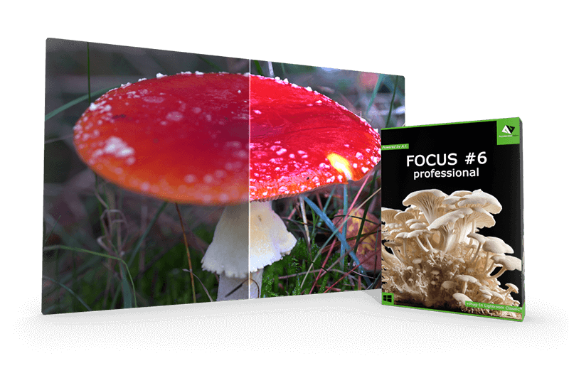 FOCUS #6 professional - Overview - Ashampoo®